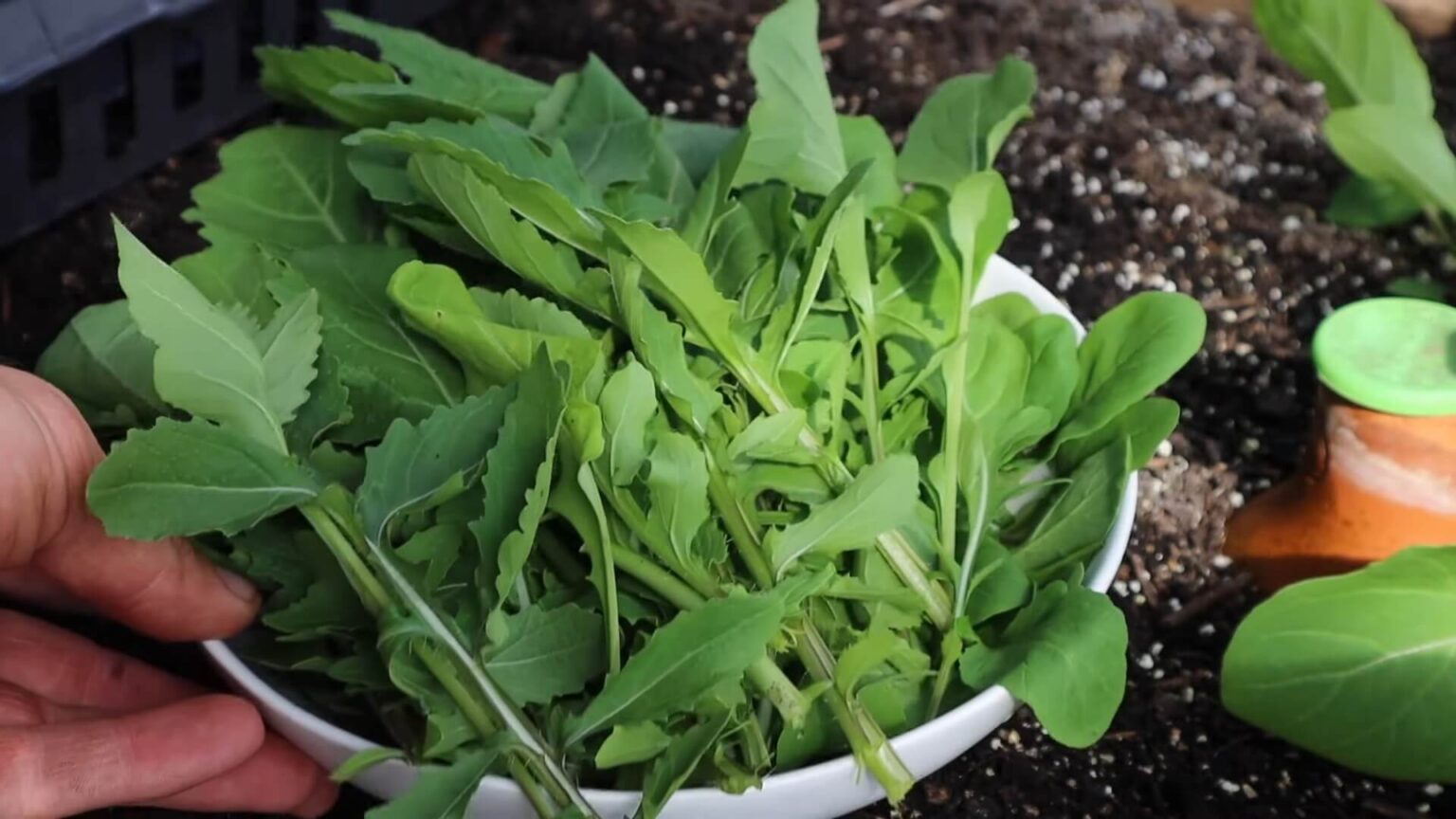 Top 17 Parsley Substitutes for Cooking - Sprig and Flours